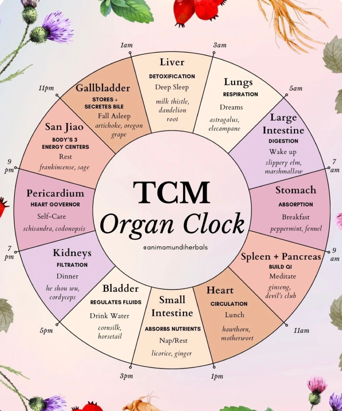10 Health Tips based on using TCM principles – HSI Chinese Medicine